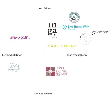 Swot And Brand Positioning Map Elle Newman