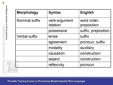 the syntax morphology interface and natural language processing veronika