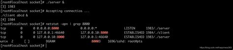 linux网络编程 socket编程 sockfd csdn博客