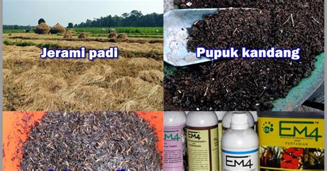 Panduan Mudah Cara Membuat Pupuk Bokashi Pupuk Organik Dengan Bahan