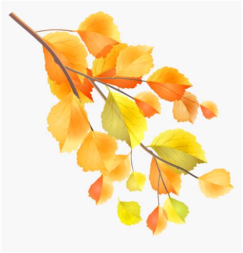 Fall Clipart Branch Fall Branches Clip Art Png Transparent Png Kindpng