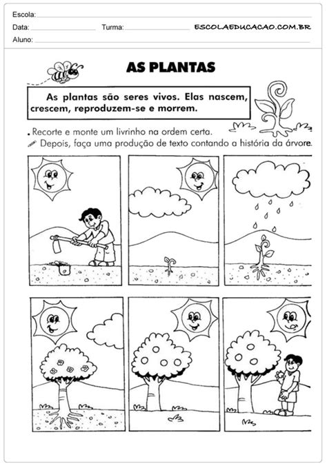 Educa X Atividades de ciências 4 ano plantas