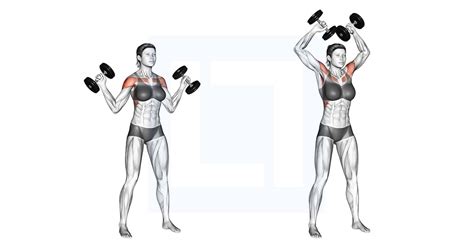 Dumbbell Incline Y Raise Guide Benefits And Form
