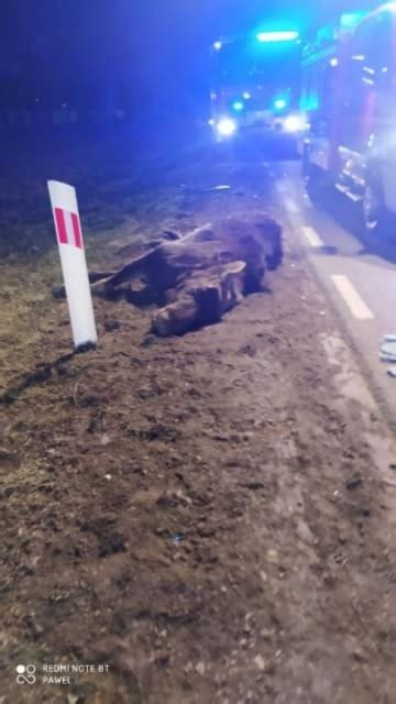 Audi Zderzy O Si Z Osiem Zdj Cia Aktualno Ci Opi Ostrowski