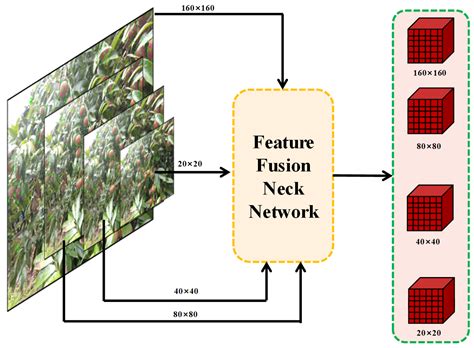 agronomy free full text an improved rotating box detection model for litchi detection in