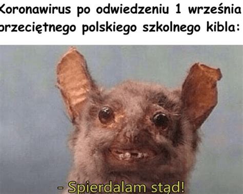 Memy Najlepsze memy o rozpoczęciu roku szkolnego NoweMedium pl