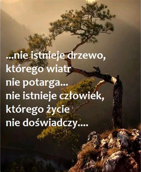 Wiara Cytaty Mysli Swiatcytatow Art