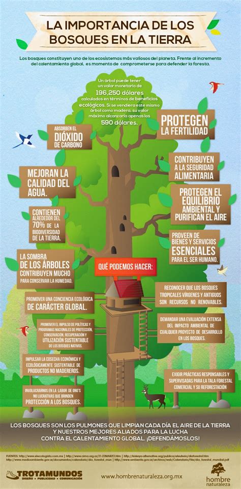 Cuidando El Medio Ambiente Y La Salud 1 9 14 1 10 14