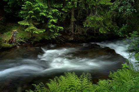 Fluss Wasser Bachlauf Kostenloses Foto Auf Pixabay Pixabay