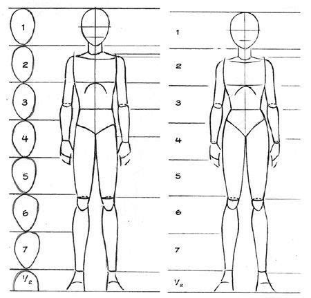 How To Draw Accurate Human Body Proportions Steps Nbkomputer
