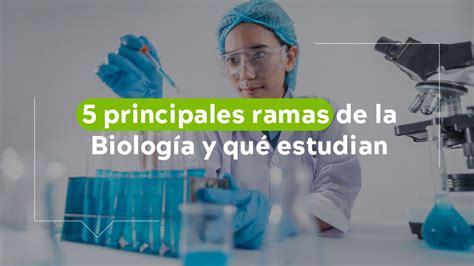 Cuáles son las ramas de la biología Universidad El Bosque