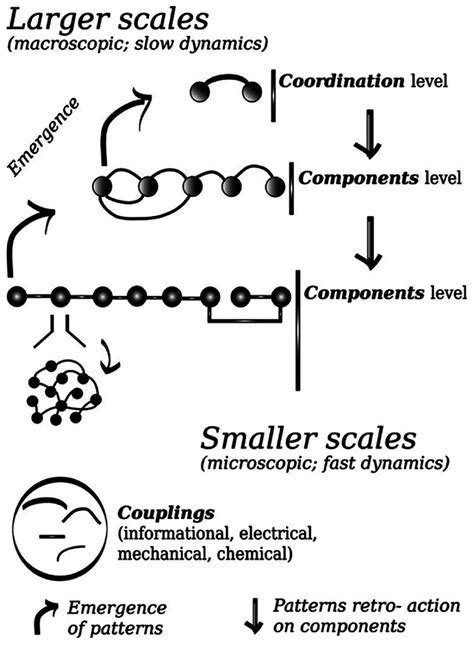 schematic representation of the principle of decomposition between download scientific diagram