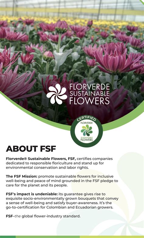Florverde Sustainable Flowers Sustainabloom