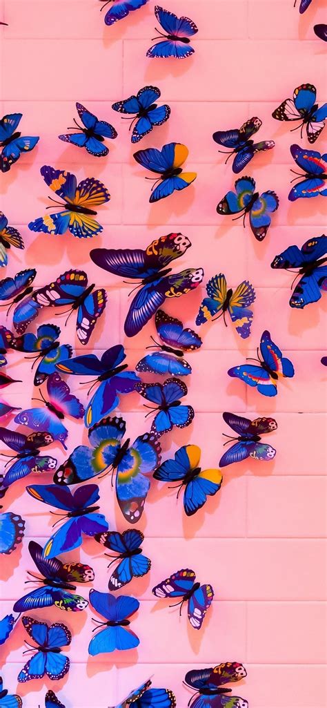 Chi tiết hơn 88 về butterfly đông êm đềm hình nền mới nhất coedo vn