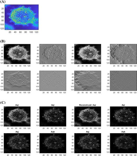 a rgb image b quaternion fast fourier transform r i j k and its download scientific