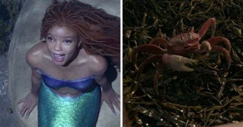 Sebastián o Don Cangrejo Live Action Critican el aspecto de