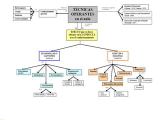 Mapas Conceptuales Nuevo PPT