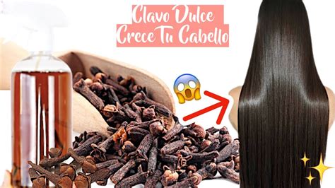 CLAVO DULCE PARA UN CABELLO LARGO Y ABUNDANTE CLAVO DE OLOR TONICO