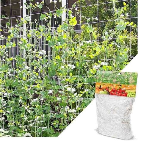 Filet De Treillis Pour Plantes Hydroponiques 1 67m X 10 M En Maille