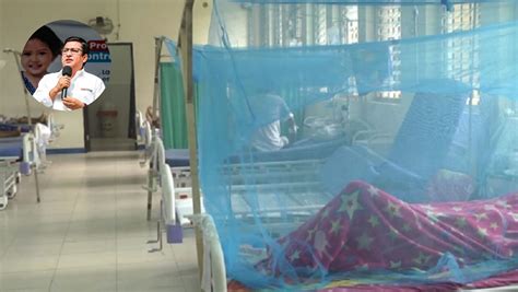 Perú Cifra de fallecidos por dengue aumentó a 32 Diario EP Perú