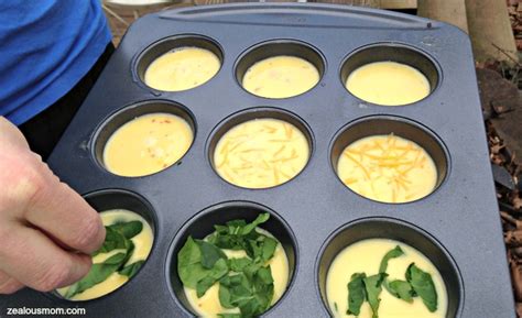 Muffin Tin Frittatas Zealous Mom