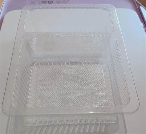 500ml Disposable Plastic Food Containers Size 5x6inch At Rs 3 50