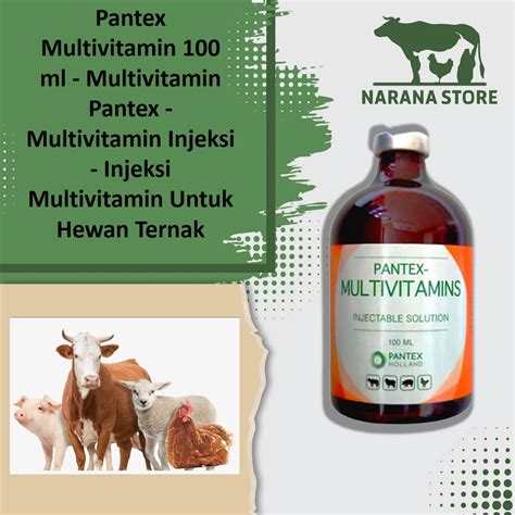 Jual Pantex Multivitamin 100 Ml Multivitamin Pantex Multivitamin