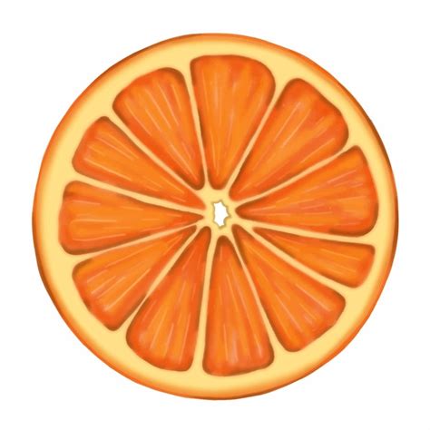 Premium Vector Bright Orange Slice Vector Illustration