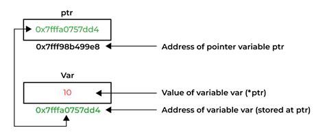 passing pointers to functions in c geeksforgeeks