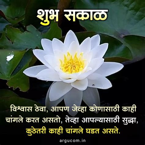 सदर शभ सकळ शभचछ सदश Good Morning Quotes Images Status