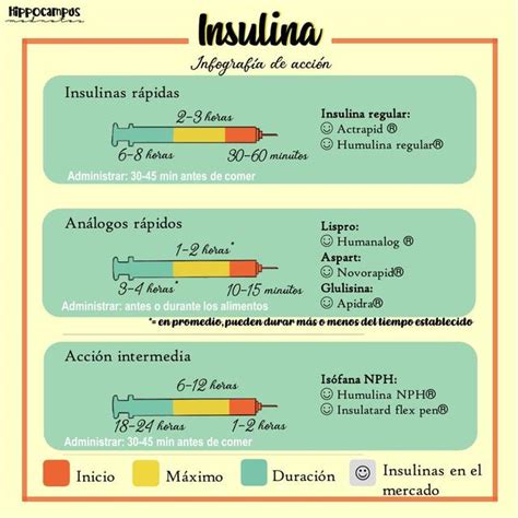 infografía de la insulina Gissell López uDocz