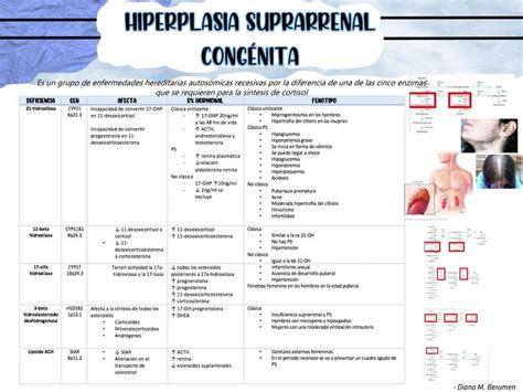 Ficha Hiperplasia Suprarrenal Cong Nita Diana Berumen Udocz
