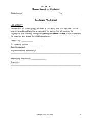 Understanding Human Karyotype Analysis Lab Activity Guide Course Hero