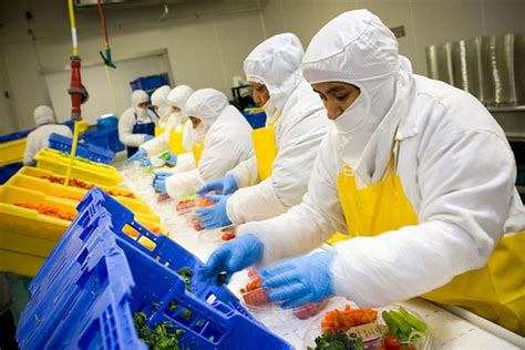 Curso De Inocuidad Alimentaria Germiclean
