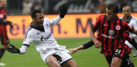 foso monitor Obsesión jugador se le ve el pito inteligente perder aves