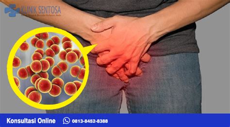 Penyebab Kencing Nanah Gonore Klinik Utama Sentosa