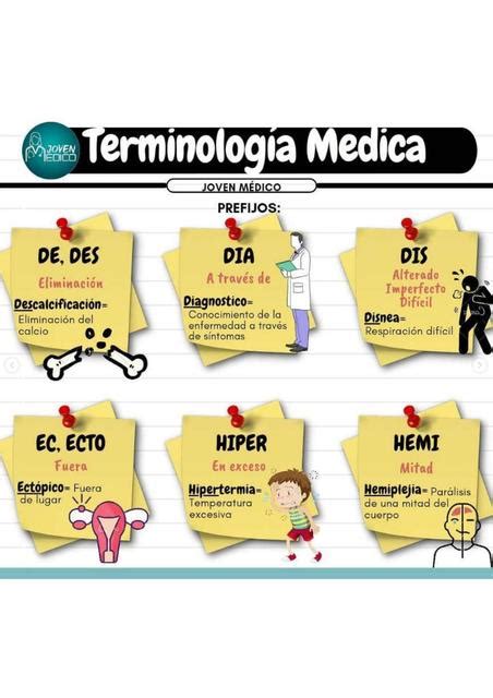 Terminologia Medica Yudoc Org Udocz