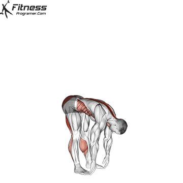 Best Abs Exercises For Definition And Strong Core Workout Plan Gym