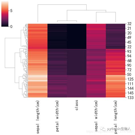 Python Dendrogrampython可视化matplotlibandseborn15聚类热图clustermap Csdn博客