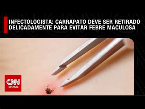 Campinas quer esterilizar capivaras após novas mortes por febre