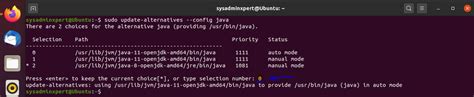 Change Java Version Ubuntu Productsple