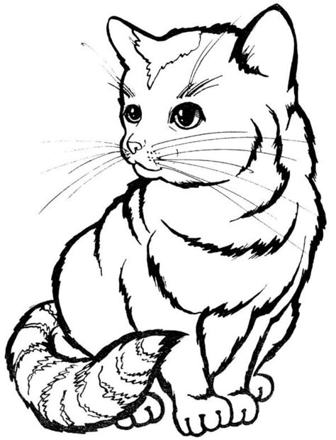 Fise de Colorat cu O Pisică Tabby Frumoasă Așteaptă Să Fie Animată Cu