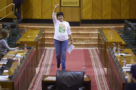 Una Treintena De Asociaciones Reclama Sin Xito En El Parlamento Una