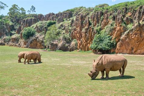 Cabárceno mucho más que un parque de la naturaleza Norte y Cultura