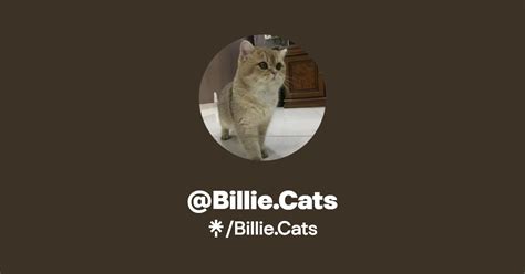 Billie Cats Linktree