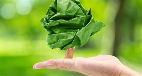 La Importancia De Reciclar El Papel