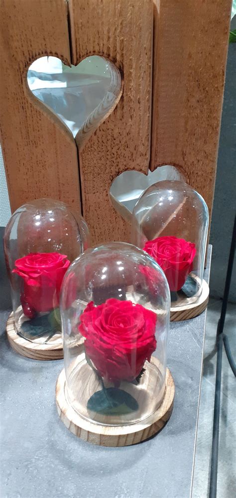 Rose Eternelle Sous Cloche DUPONT FLEURS