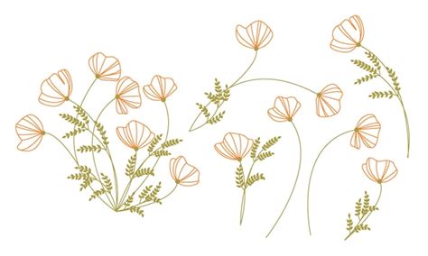 Conjunto De Flores De Arte Lineal De Colores Doodle Amapola De