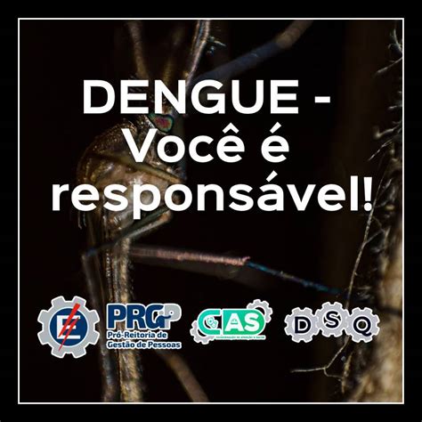 Dsq Campanhas E Divulga Es De Sa De Prgp