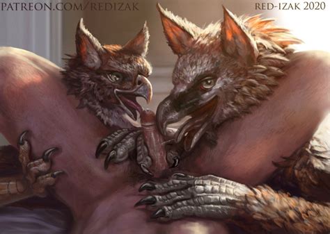 Rule 34 Aadhya The Gryphon Generation Accipitrid Accipitriform Ambiguous Gender Avian